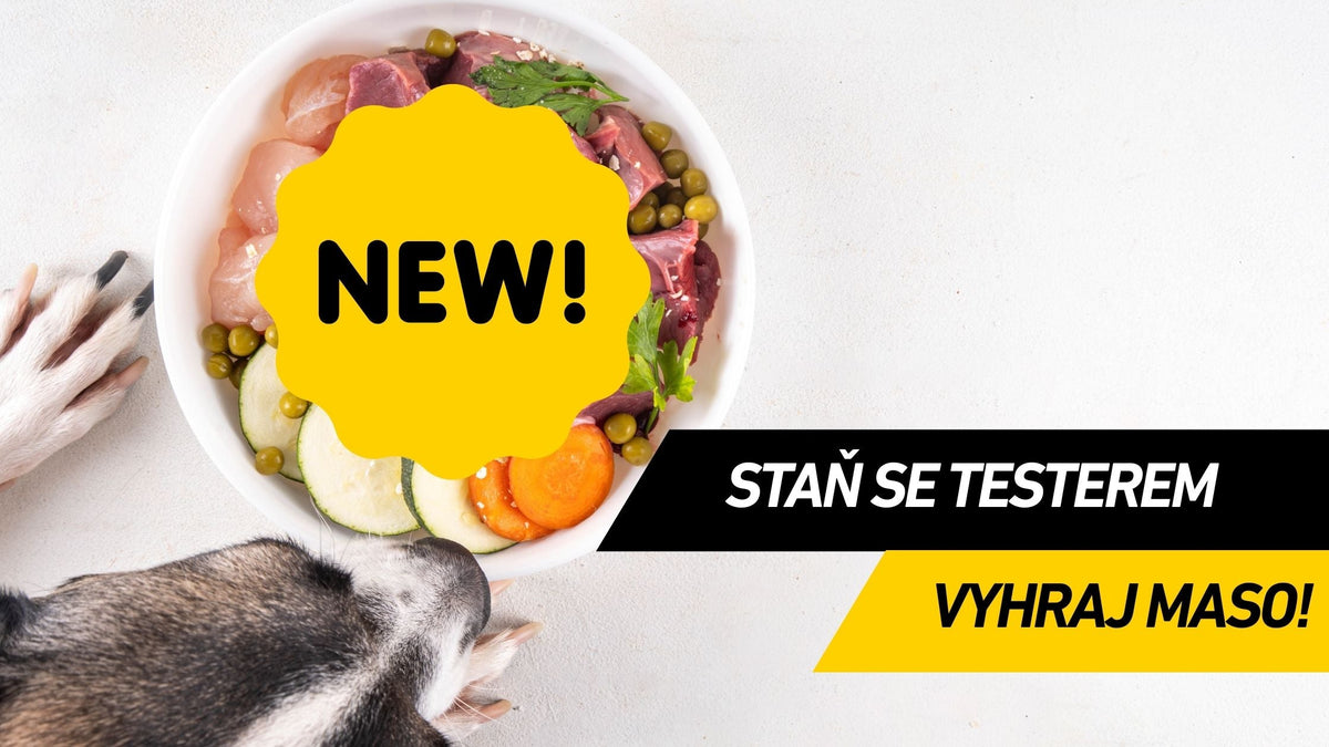 Pomoz vytvořit nový kompletní B.A.R.F. pro psy– Canis Lab